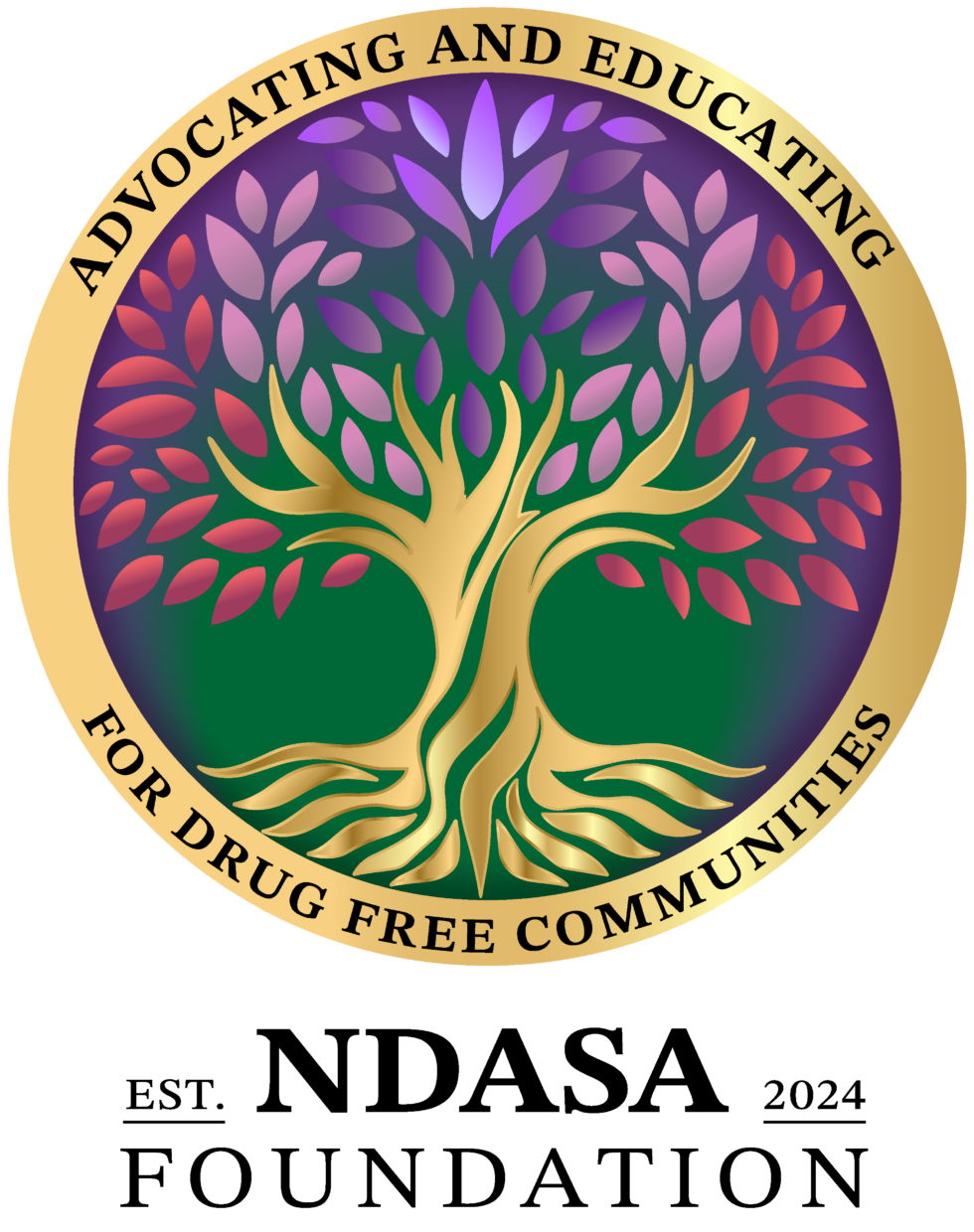 NDASA Foundation - NDASA