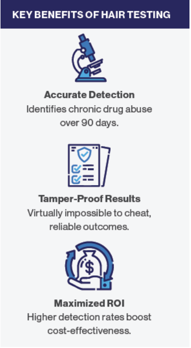 Beyond Traditional Testing: How Hair Drug Screening Protects Your ...